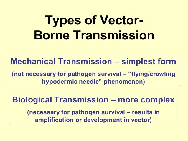 Examples of vector borne transmission - picsinriko
