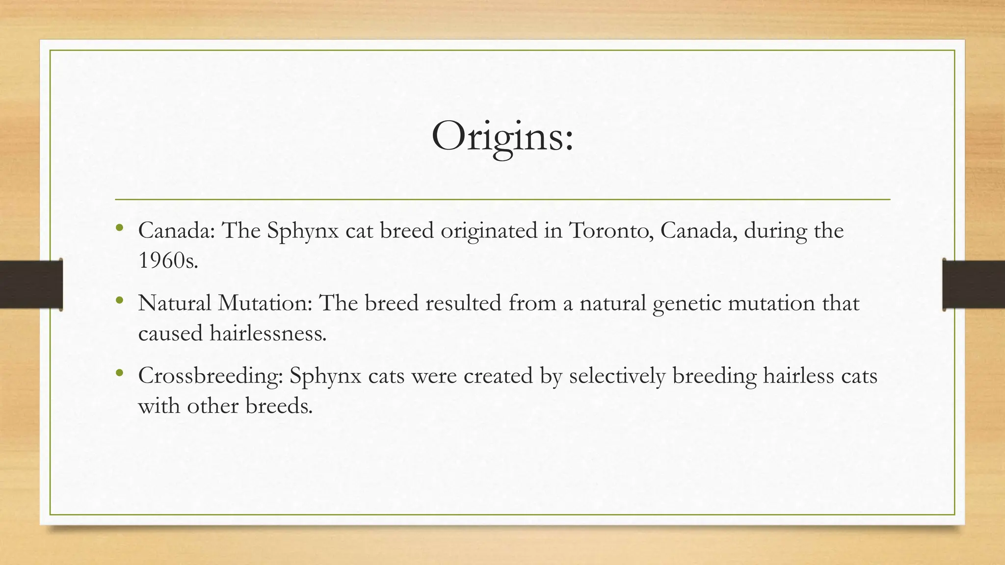 Sphynx Cat the hairless marvels breed.pptx