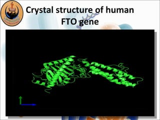 my academic research | PPT