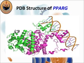 my academic research | PPT