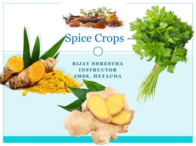 Spice crops | PDF | Agriculture | Industries