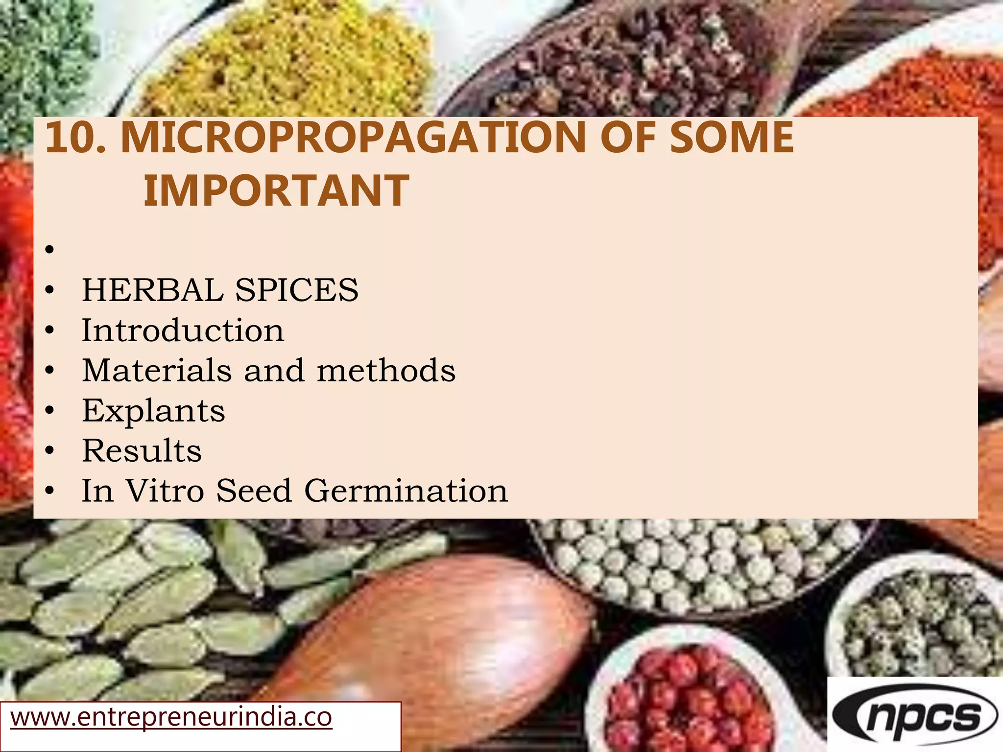 Spice Cultivation and Processing | PPTX