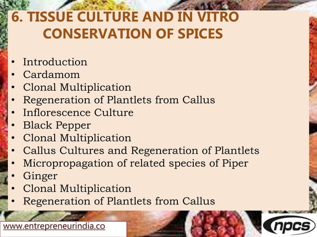 Spice Cultivation and Processing | PPTX | Agriculture | Industries
