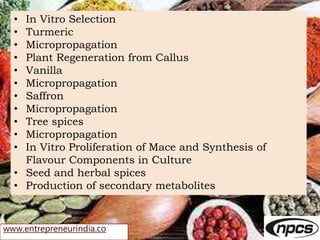 Spice Cultivation and Processing | PPTX