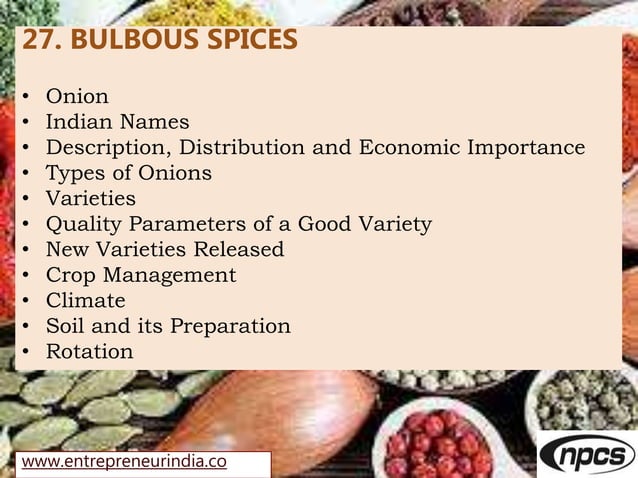 Spice Cultivation and Processing | PPTX | Agriculture | Industries
