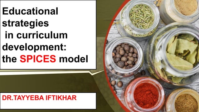 SPICES.pdf | Primary Education | Education