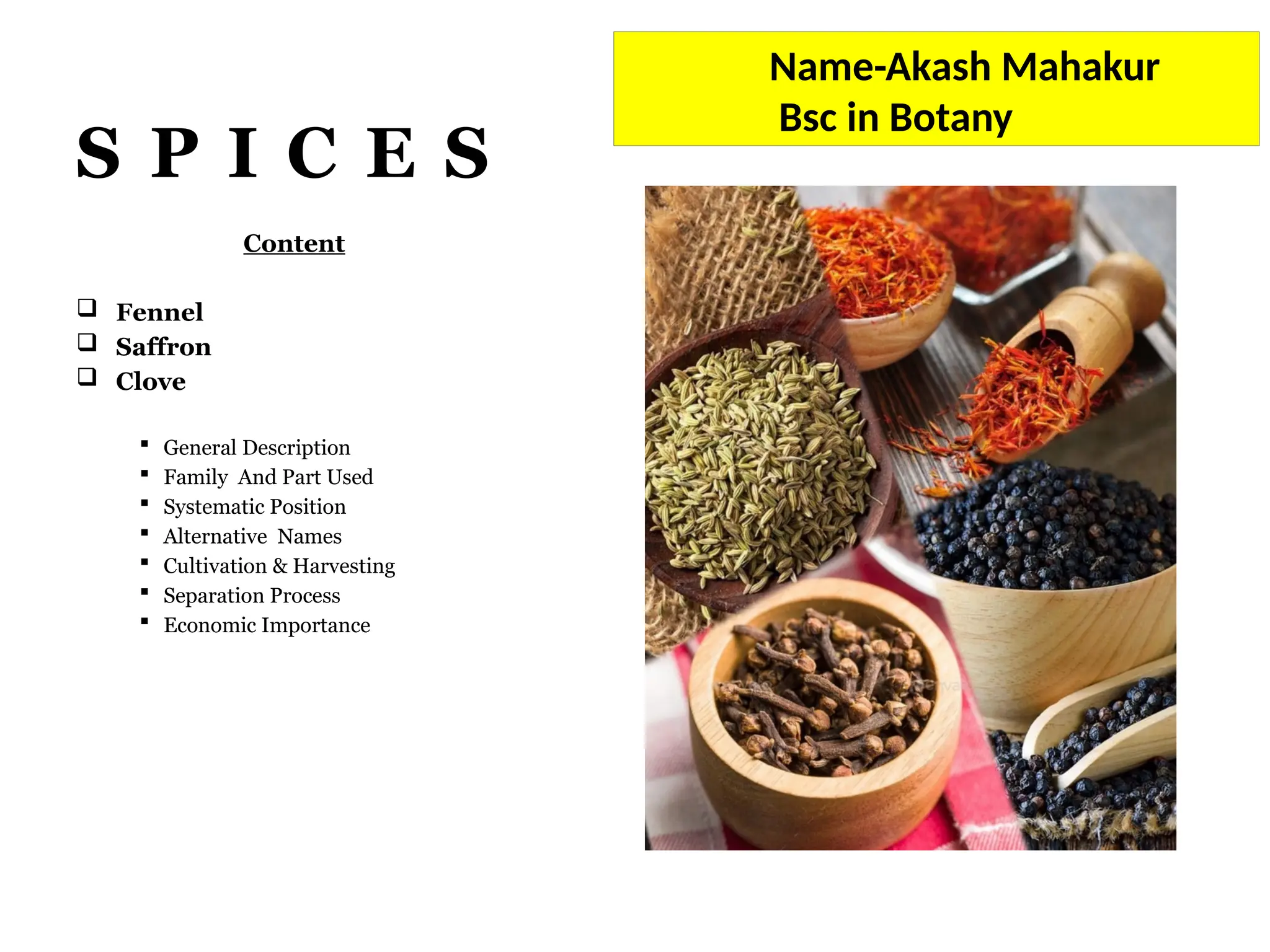 SPICES.pptx Botany carrier | PPTX