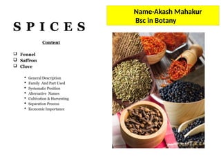 SPICES.pptx Botany carrier | PPTX