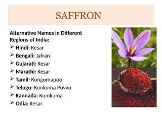 SPICES.pptx Botany carrier | PPTX