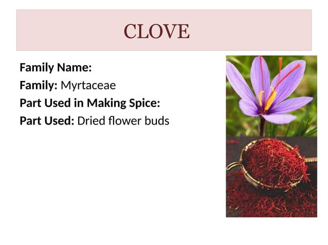 SPICES.pptx Botany carrier | PPT