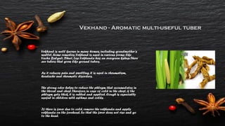 Spices homemade spices and their benefits - maharashtra today-converted ...