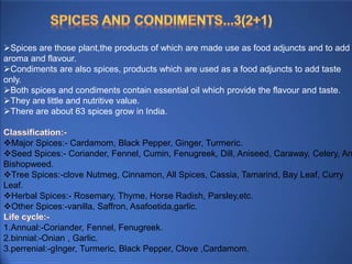 Spices and condiments ...3(2+1) presentation | PPTX