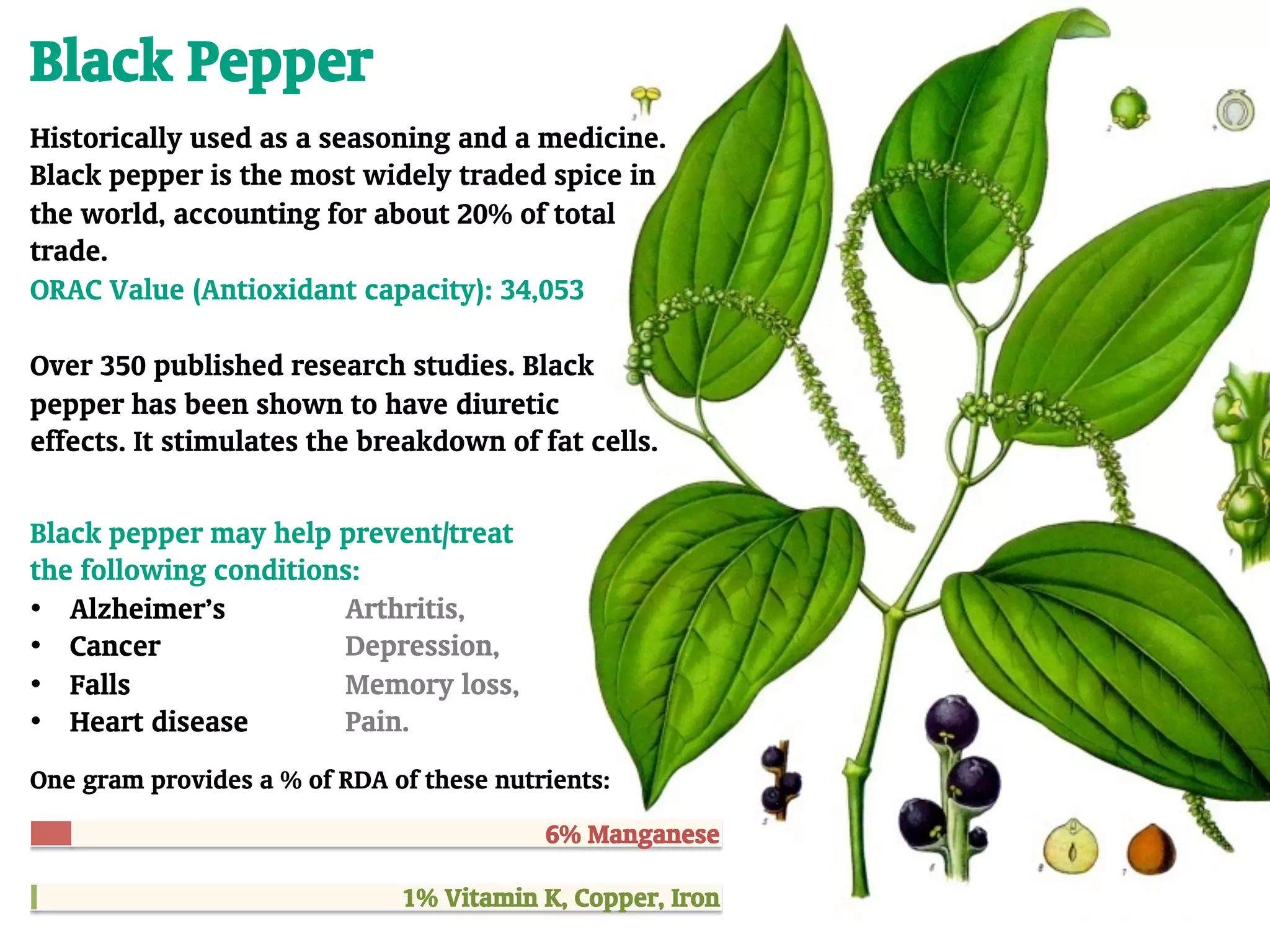 Spices and Herbs | PDF