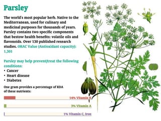 Spices and Herbs | PDF