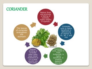 Spices and their benefits | PPTX