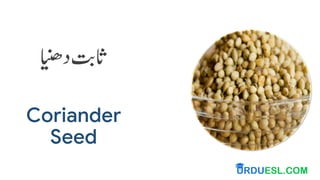 spices names in english and urdu generally | PDF