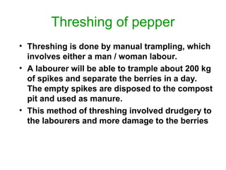 Major and minor spices processing methods.ppt