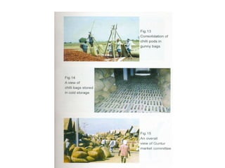 Major and minor spices processing methods.ppt