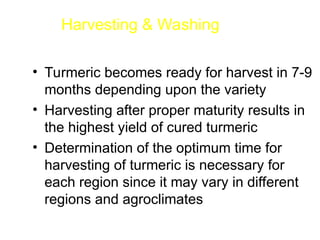 Major and minor spices processing methods.ppt
