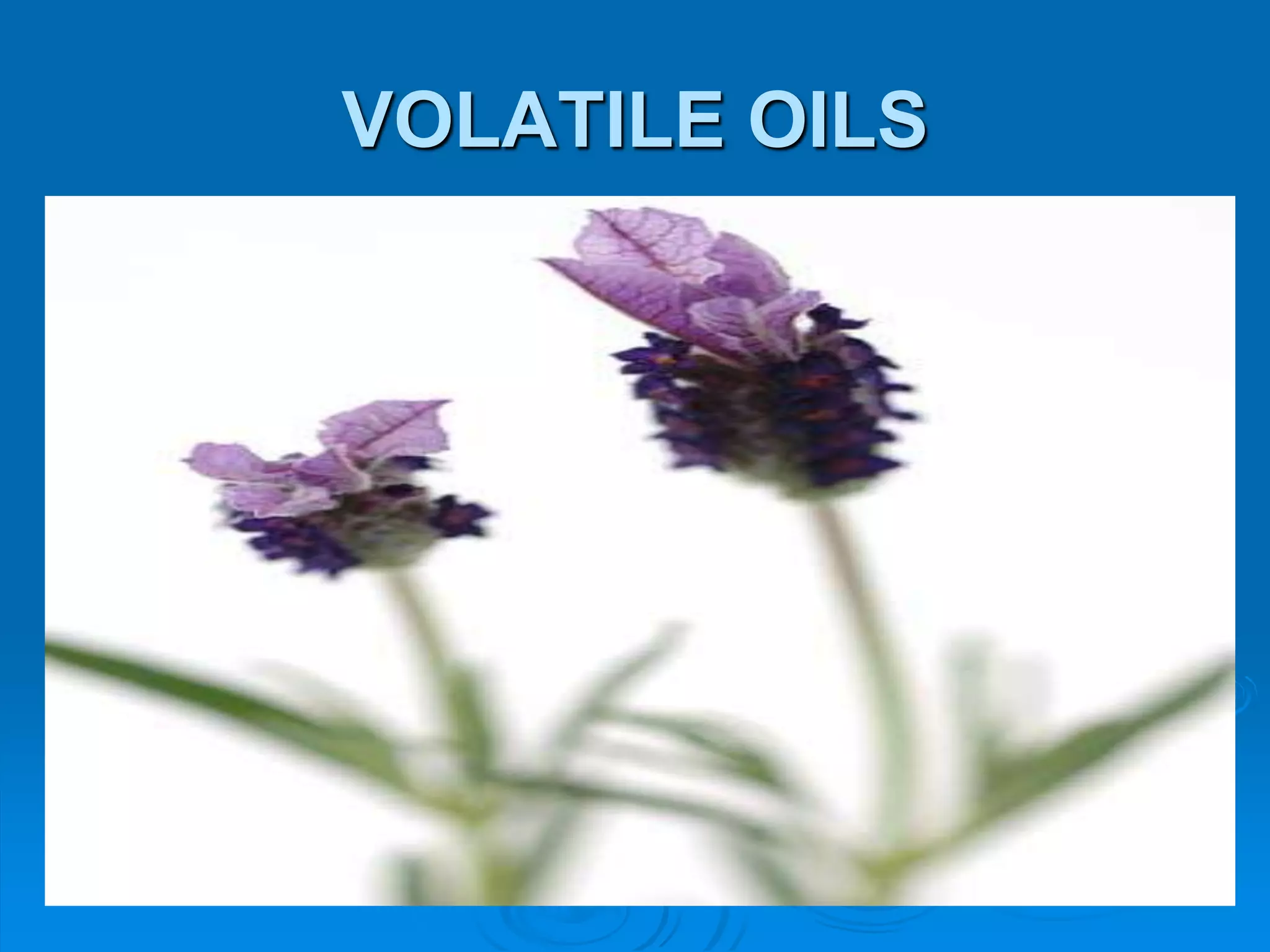 spices_volatile_oils.ppt
