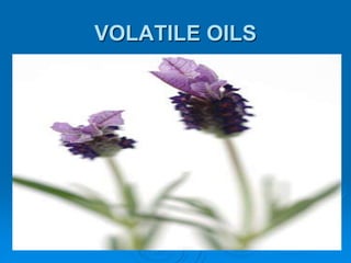 Volatile Oils Guide | PPT