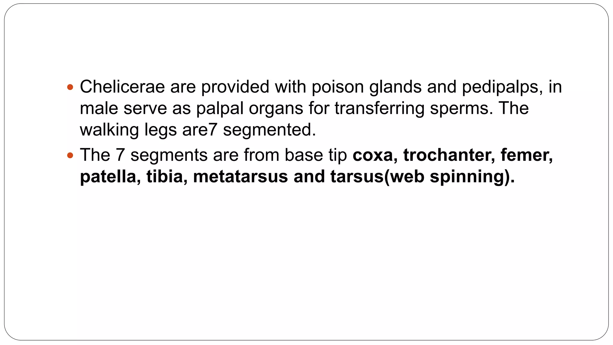Spider Taxonomy | PPTX