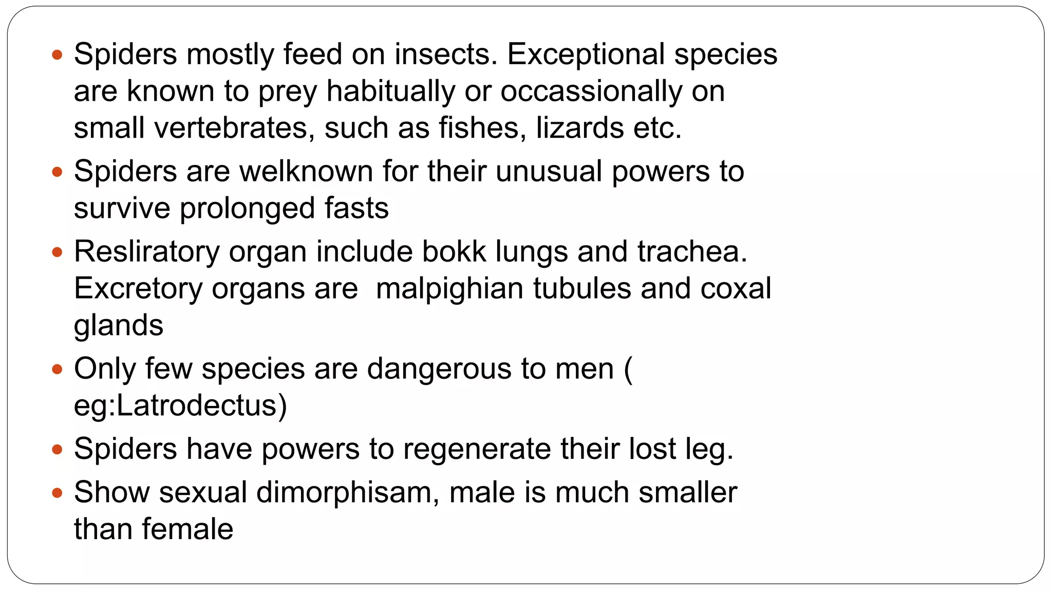 Spider Taxonomy | PPTX