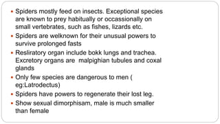 Spider Taxonomy | PPTX
