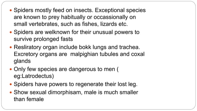 Spider Taxonomy | PPTX | Needlework | Arts and Crafts