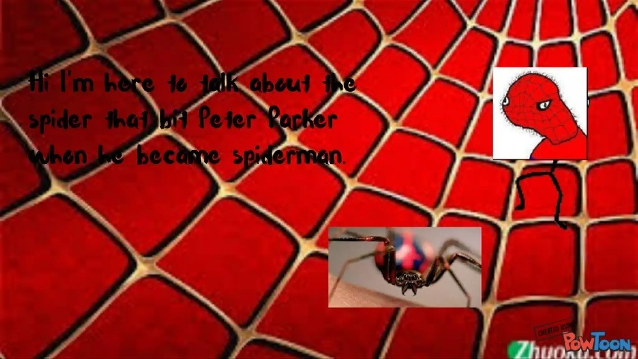 spider man | PPT