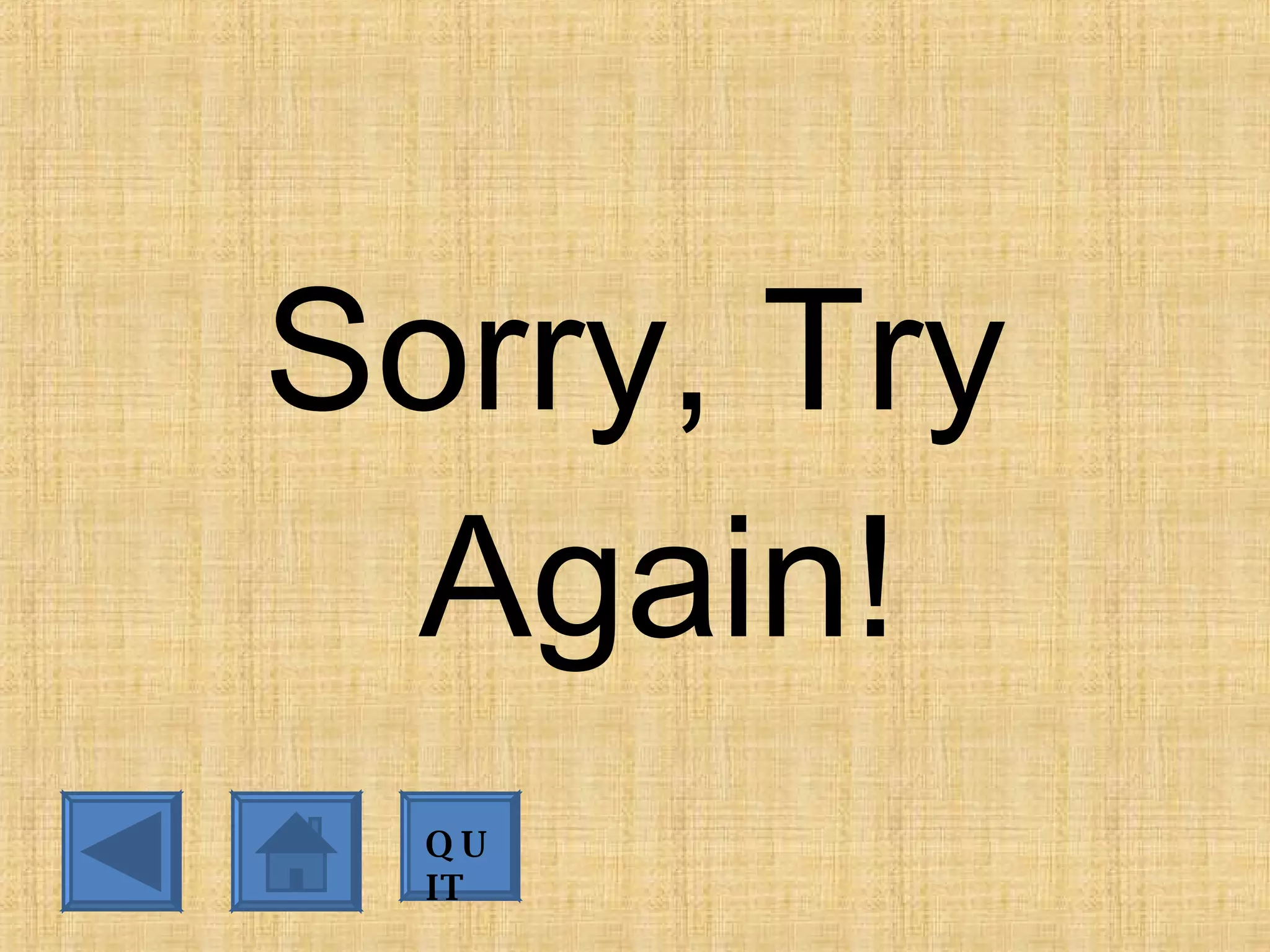 Spider Monkeys | PPT