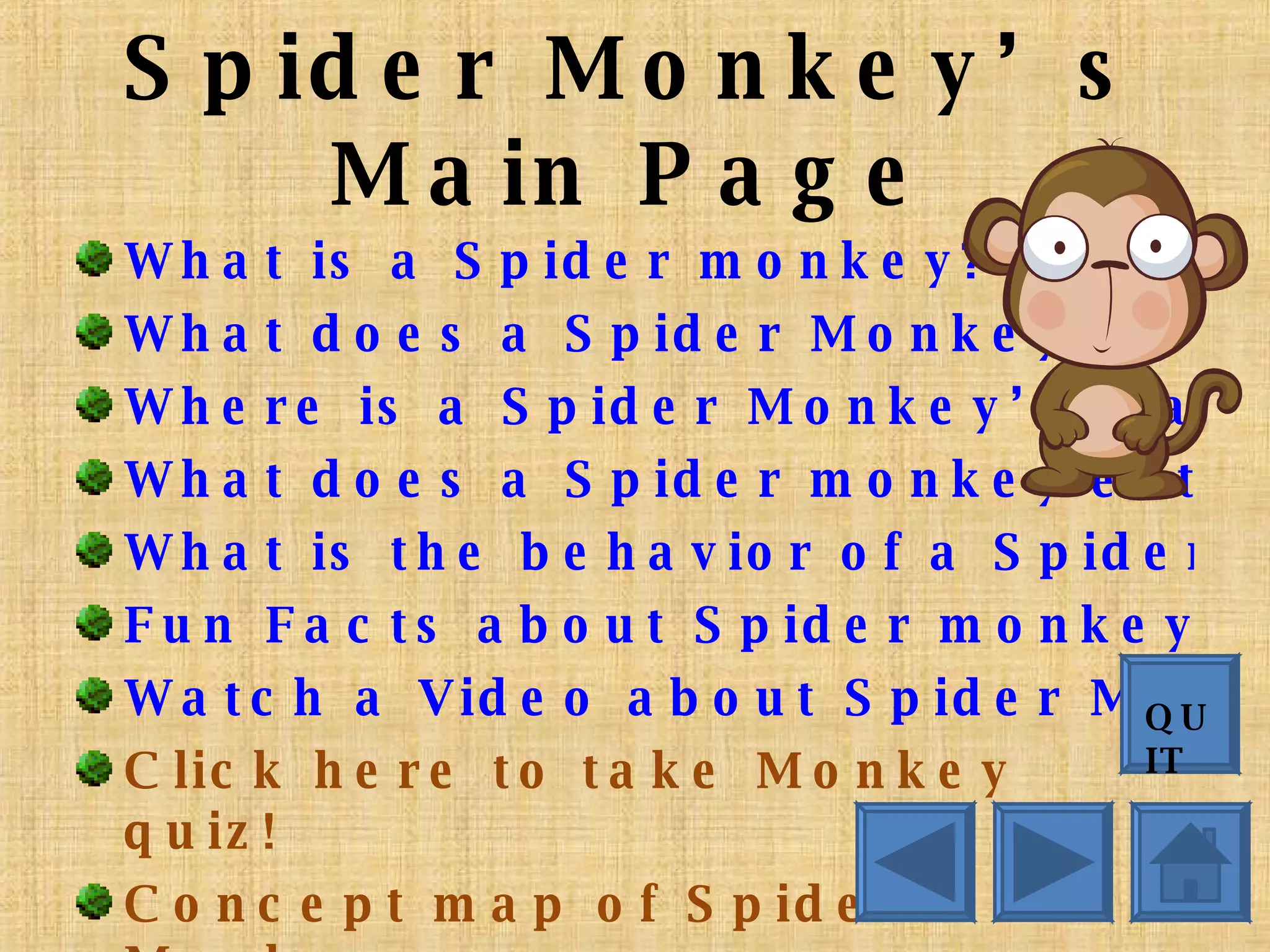 Spider Monkeys | PPT