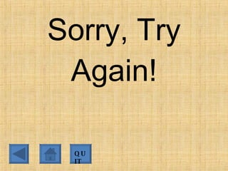 Spider Monkeys | PPT