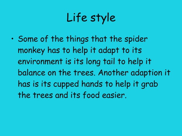 Spider Monkey Power Piont | PPT