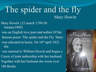 Spider and the fly | PPTX