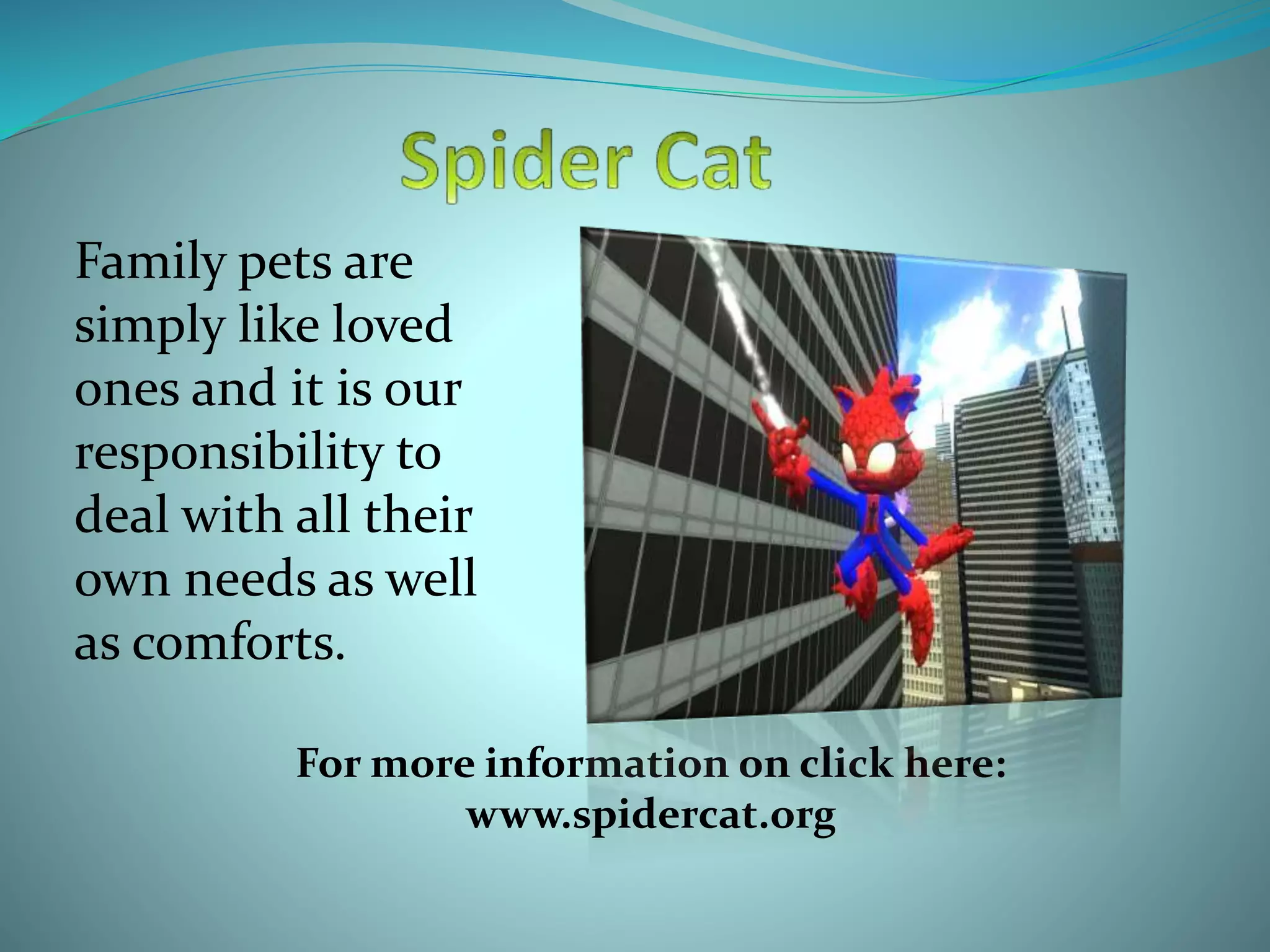 Spider cat | PPTX
