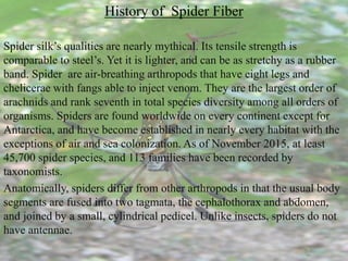 Spider fabric | PPT