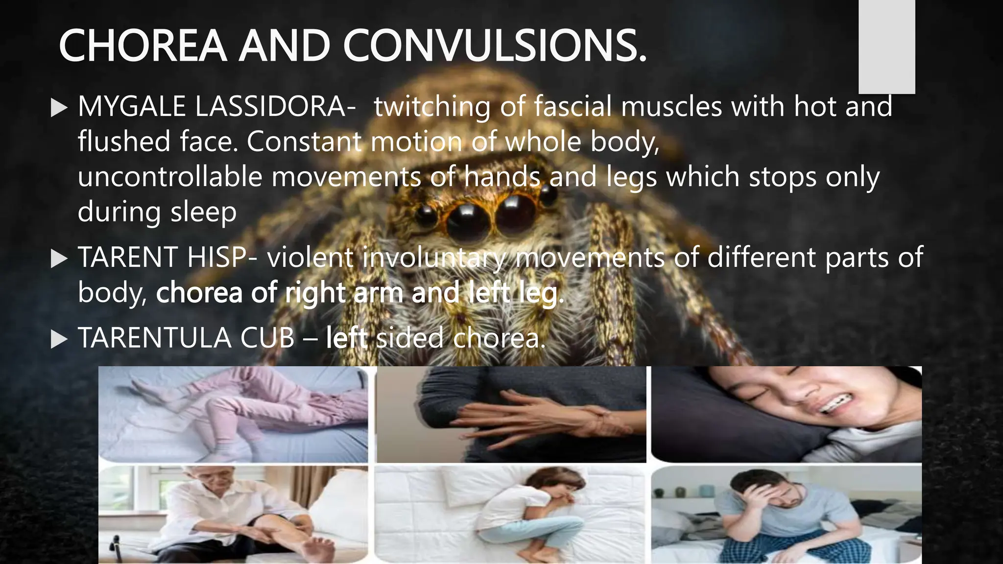 SPIDER GROUP.BHMS.HOMOEOPATHY.MATERIA MEDICA | PPTX