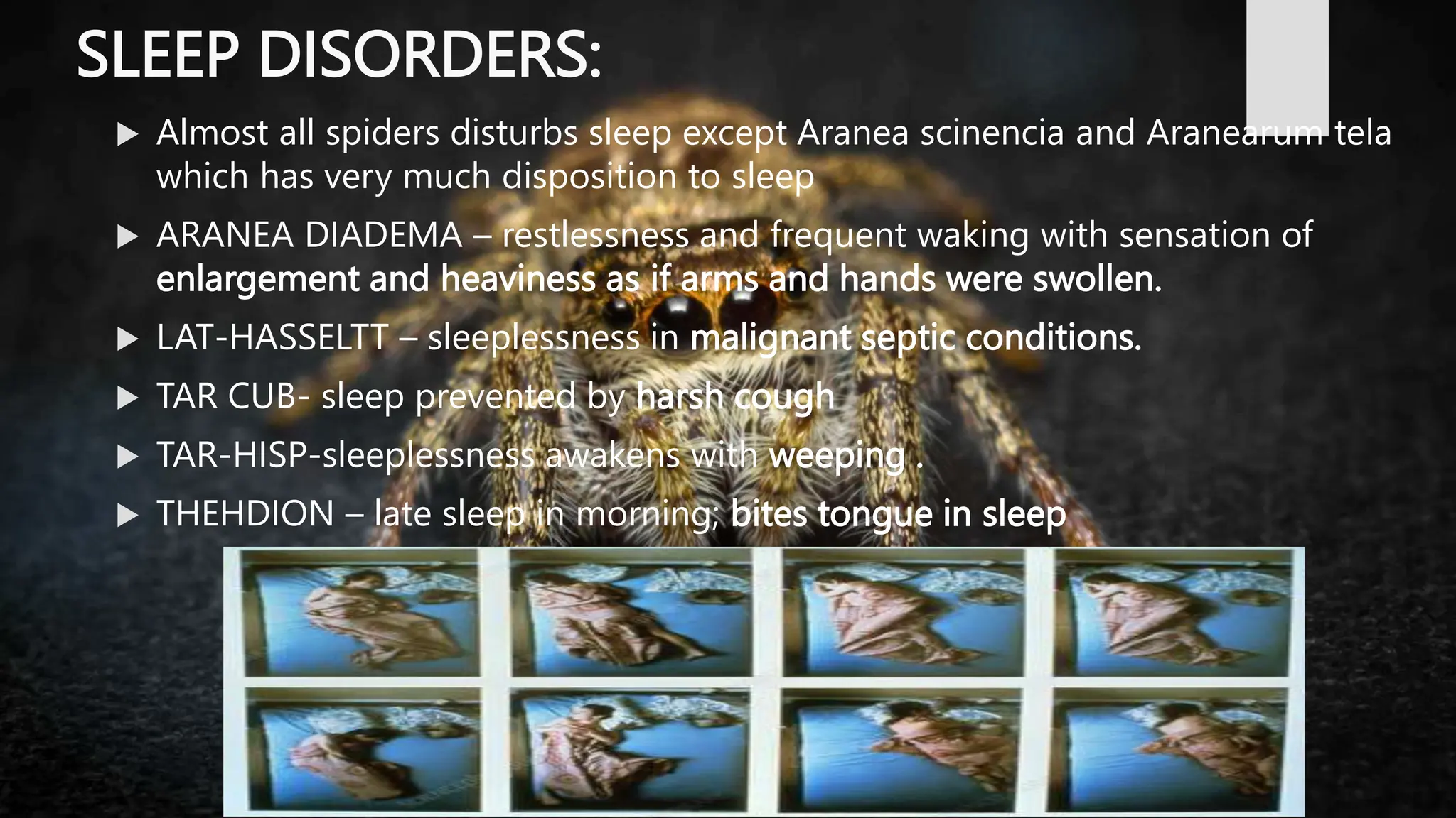 SPIDER GROUP.BHMS.HOMOEOPATHY.MATERIA MEDICA | PPTX