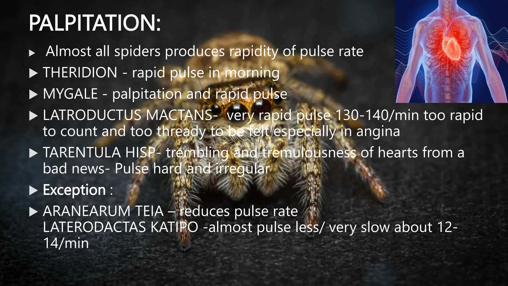 SPIDER GROUP.BHMS.HOMOEOPATHY.MATERIA MEDICA | PPTX