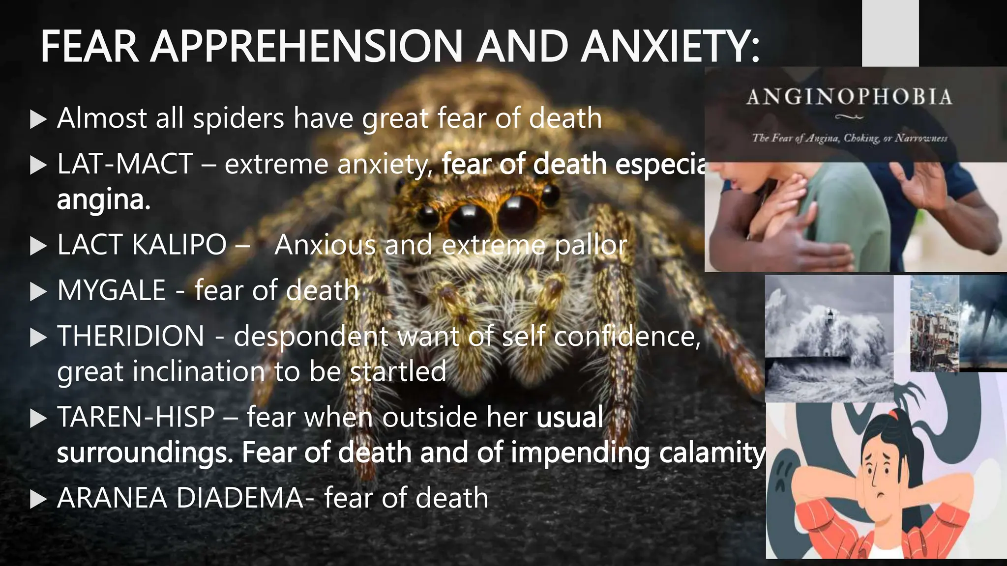 SPIDER GROUP.BHMS.HOMOEOPATHY.MATERIA MEDICA | PPTX