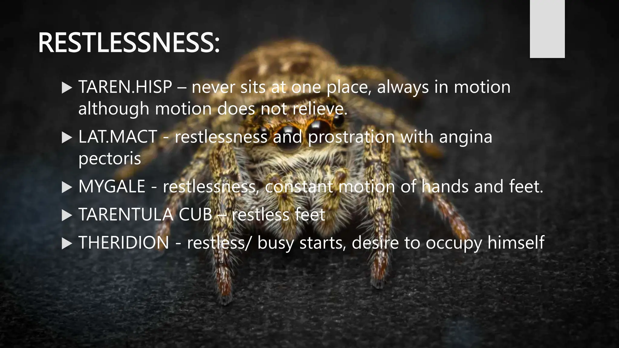 SPIDER GROUP.BHMS.HOMOEOPATHY.MATERIA MEDICA | PPTX