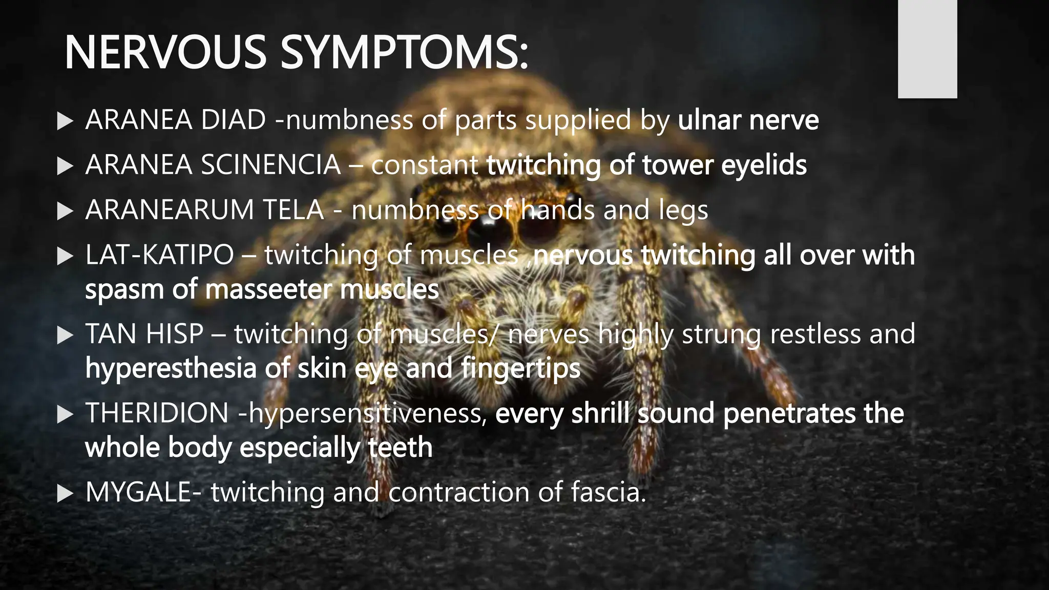SPIDER GROUP.BHMS.HOMOEOPATHY.MATERIA MEDICA | PPTX