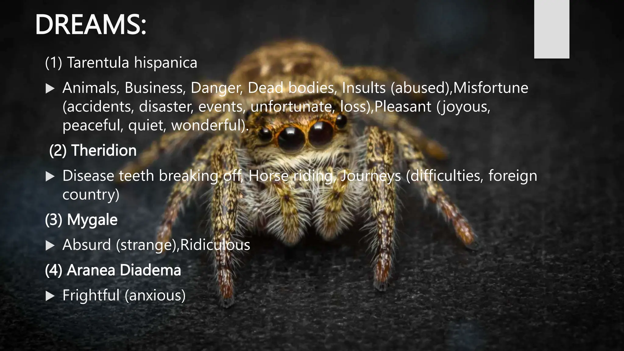 SPIDER GROUP.BHMS.HOMOEOPATHY.MATERIA MEDICA | PPTX