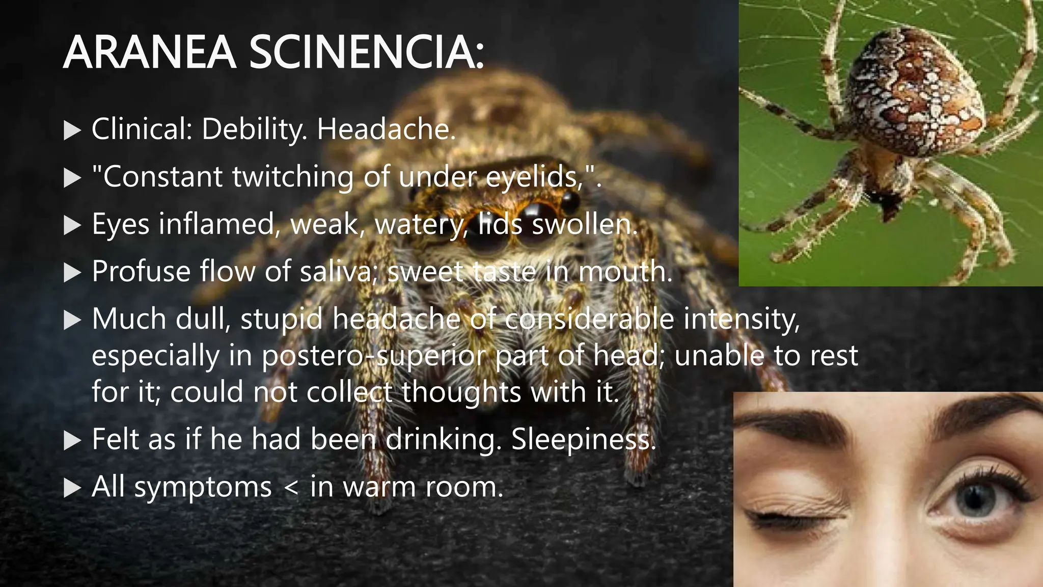 SPIDER GROUP.BHMS.HOMOEOPATHY.MATERIA MEDICA | PPTX