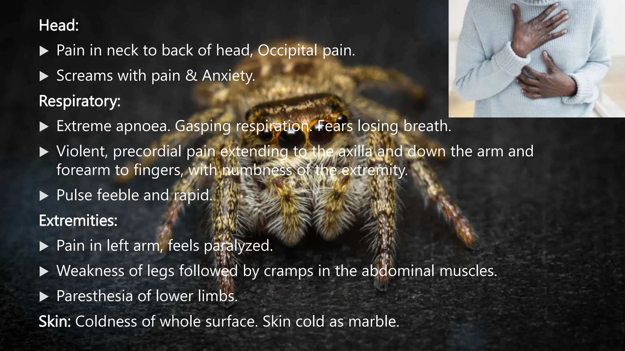 SPIDER GROUP.BHMS.HOMOEOPATHY.MATERIA MEDICA | PPTX
