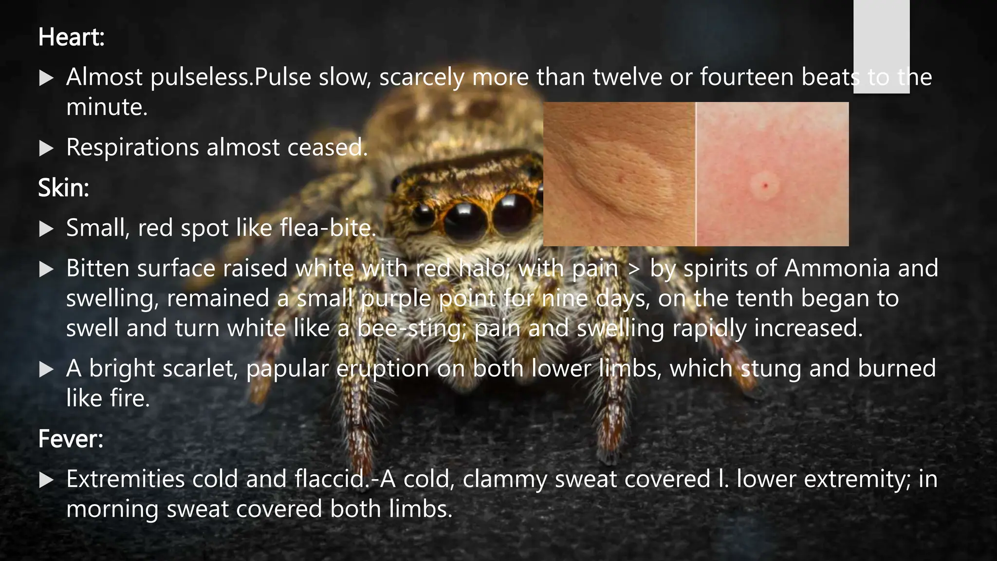 SPIDER GROUP.BHMS.HOMOEOPATHY.MATERIA MEDICA | PPTX