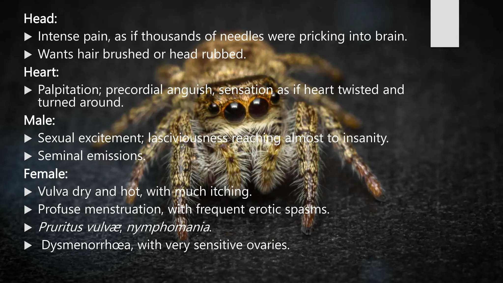 SPIDER GROUP.BHMS.HOMOEOPATHY.MATERIA MEDICA | PPTX