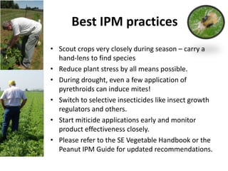 Basic identification and management approaches for spider mites in ...