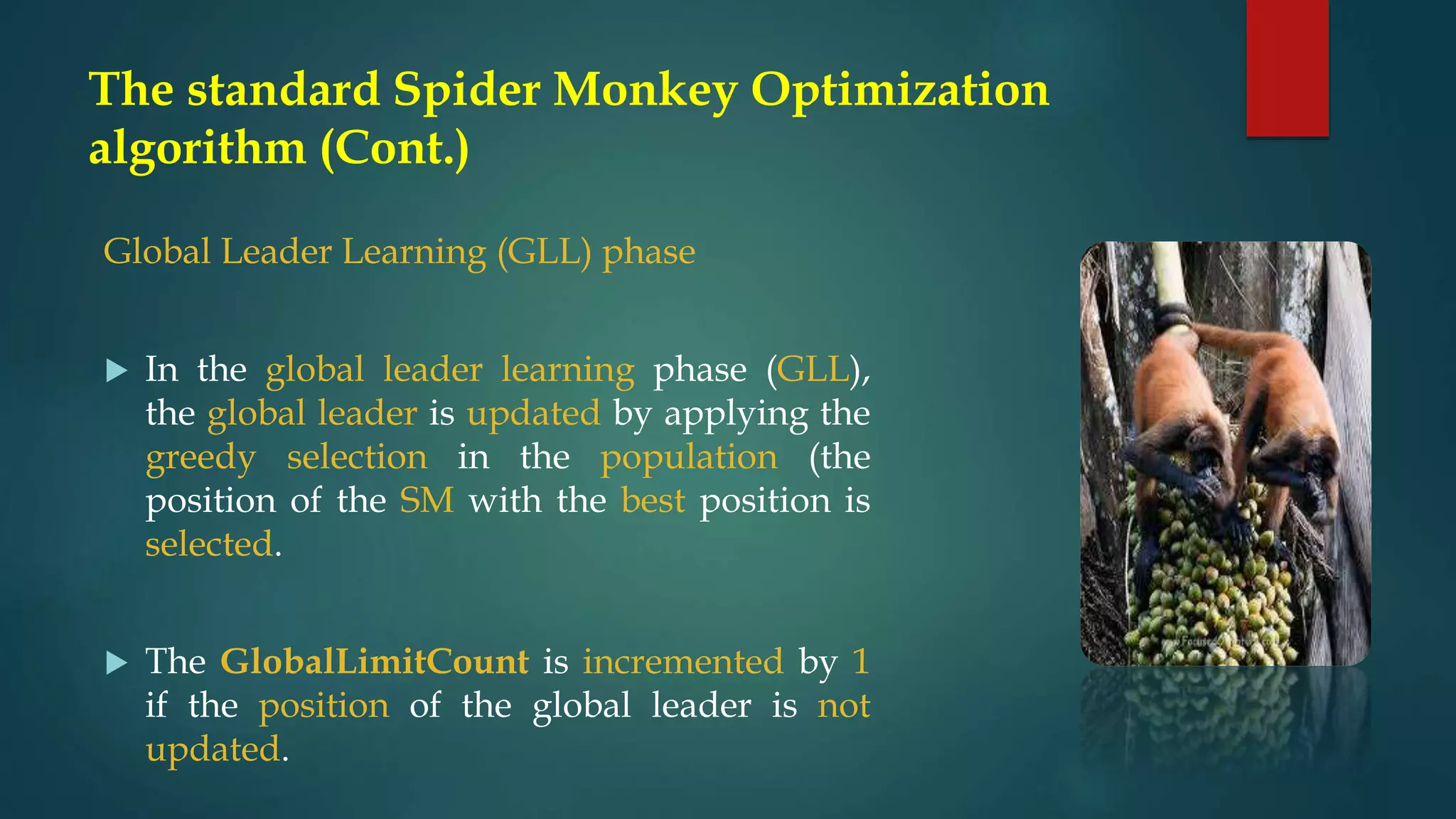 Spider Monkey Optimization Algorithm | PPT Spider Monkey Optimization Algorithm | PPT